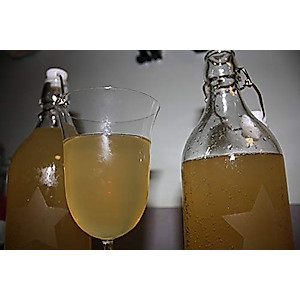 1128-Scuppernong/Muscadine,White,Tame (Vitis rotundifolia) Seeds by Robsrareandgiantseeds UPC0764425787334 Non-GMO,Organic,Historic Plants, Bonsai,1128 Package of 5 Seeds