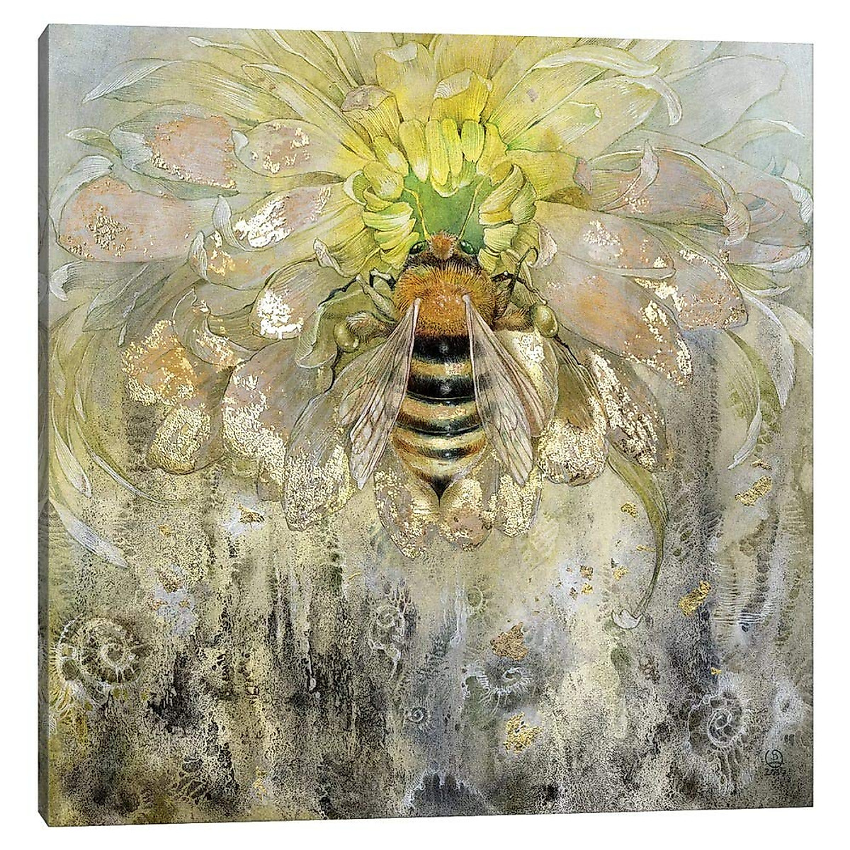 iCanvas SLW18 Bee Canvas Print by Stephanie Law, 12" x 12" x 0.75" Depth Gallery Wrapped