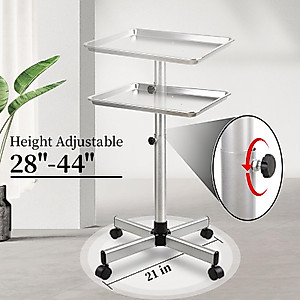 Salon Tray Cart,Aluminum Instrument Salon Tray on Wheels,Height Adjustble Storage Utility Cart,Hair Salon Tray,Tattoo Tray on Wheels