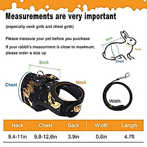 Filhome Halloween Rabbit Harness Leash, Bat Wizard Bunny Vest Harness Leash Cosplay Halloween Party Decoration for Rabbit Ferret Bunny Kitten Guinea Pig