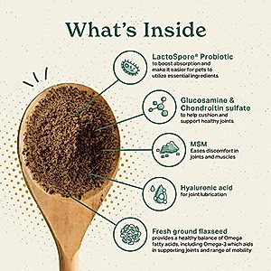 The Missing Link Hip & Joint Probiotics Superfood Supplement Powder for Dogs - Omegas 3&6, Fiber, Glucosamine, Chondroitin, MSM, HA - Cartilage & Bone Health, Joint Mobility & Flexibility - 1lb