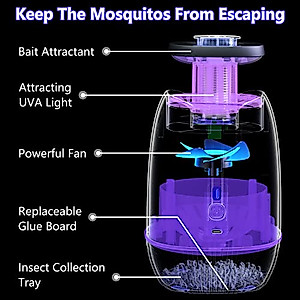 Pzqzmar Fruit Fly Trap,Electric Bug Zapper Indoor Insect Trap,Bug Catcher for Fruit Flies,Flying Insect,Mosquito,Gnat,Moth,Fly Mosquito Killer Lamp for Home House,UV Light&Sticky Glue,Plug-in(Black)