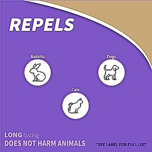 Bonide Go Away! Rabbit, Dog, & Cat Repellent Granules, 1 lb Ready-to-Use, Keep Dogs off Lawn, Garden, Mulch & Flower Beds