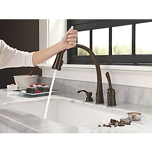 Delta Faucet Pilar Kitchen Soap Dispenser for Kitchen Sinks, Venetian Bronze RP50781RB