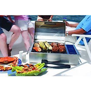 Kenyon B70082 Floridian All Seasons Portable Stainless Steel Electric Grill, 120V