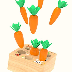 Ancaixin Montessori Toys for Babies 6-12 Months, Wooden Toys for 1 Year Old Boys and Girls, Educational Carrot Harvest Toy for Toddlers, Shape Sorting Matching Puzzle, Developmental Birthday Gifts