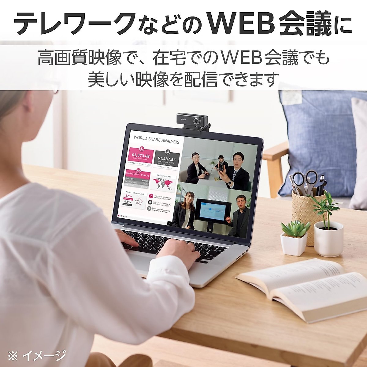 ELECOM Web Camera with Built-in Microphone 2 Million Pixels high Definition Glass Lens Type [Black] UCAM-C520FBBK (Japan Import)
