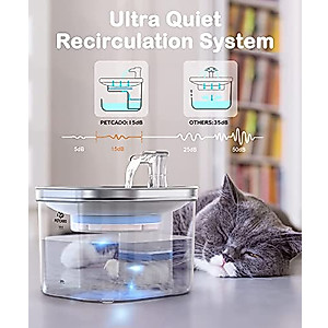 PETCADO Cat Water Fountain with Stainless Steel Lid, 67oz/2L Ultra-Quiet Cat Fountain with LED Light, Activated Carbon Filter, BPA-Free Automatic Pet Water Dispenser for Cats and Small Dogs