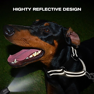 Joytale Martingale Collar for Dogs, Reflective Heavy Duty Dog Collar for Safety, Quick Release Buckle, Adjustable Nylon Collars for Medium Dogs Walking Training, Black, M