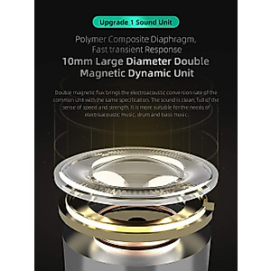 Kinboofi KZ ZSTX in Ear Headphone, 1BA 1DD HiFi Earphone with Hybrid Driver High Fidelity Sound IEM Headset with Detachable Cable (with Microphone, Purple)