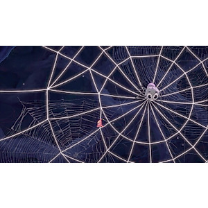 Hoa - Nintendo Switch