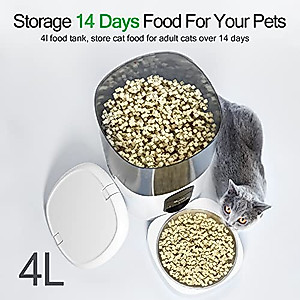 Prupet WiFi Automatic Cat Feeders, 4L Timed Cat Feeder, Cat Food Dispenser with Stainless Steel Bowl , APP Control Pet Feeder, Programmable Portion Control Meals, Granary for Small/Medium Pets