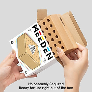 MEEDEN Beechwood Pencil and Brush Holder: 36 Holes Paint Brush Storage Organizer & Holder Rack - Wooden Block Pencil Holder for Paintbrushes, Pens and Art Tools - Paint Brush Holder Display Stand