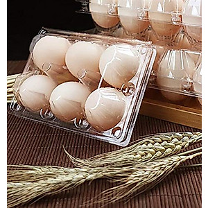 Clear Plastic Egg Cartons - Count Egg Holder, Reusable Fresh Egg Container for Storing Eggs for Kitchen/Groceries/Market/Farm/Farmers (35 Pack) LIZHE…