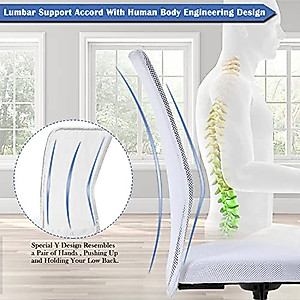 Ergonomic Chairs, Cute Adjustable Armless Office Desk Chair w/Mesh Back & Soft Thick Seat, Comfy Swivel Rolling Cheap Executive Small Computer Task Chair Sillas para Escritorio for Adult Women