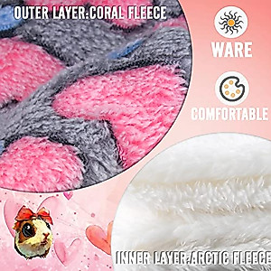 LROEZR 2 Pcs Pet Ferrets Hanging Hammock Small Animal Guinea Pig Rat Hamster Hanging Bunk Bed Hammock Cage Toy for Hamster Chinchilla Rat Sugar Glider Parrot Guinea Pig Hideout Sleep Play