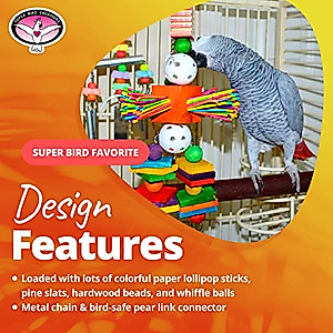 Super Bird Creations SB513 Willy Nilly Bird Toy, Medium/Large Bird Size, 14" x 6.5"