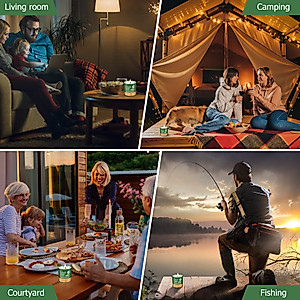 Dwcom 2 Pack Mosquito Repellent Outdoor Patio, DEET Free, 8oz Citronella Candles Outdoor, Bug Candles Repellent Outdoor, Mosquito Candle Indoor