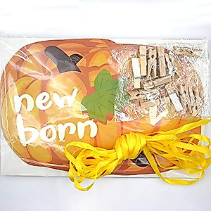 Rainlemon Pumpkin Photo Banner Fall Autumn Little Pumpkin Boy Gril 1st Birthday Party Photo Garland 12 Months Photo Prop