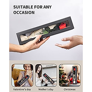 Preserved Rose, Preserved Flowers for Delivery Prime, Single Rose Flower Gifts for Women, Real Rose Gifts for Her, Birthday Gifts, Valentines Flowers for Girlfriend - Red Rose