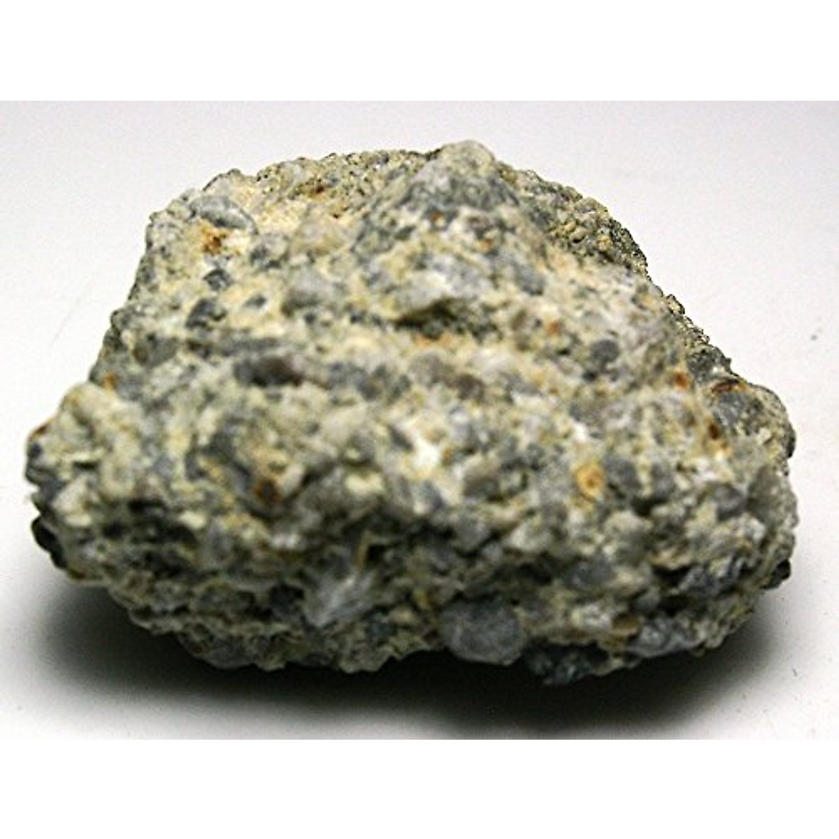 Conglomerate Sedimentary Rock - 2 Unpolished Rock Specimens