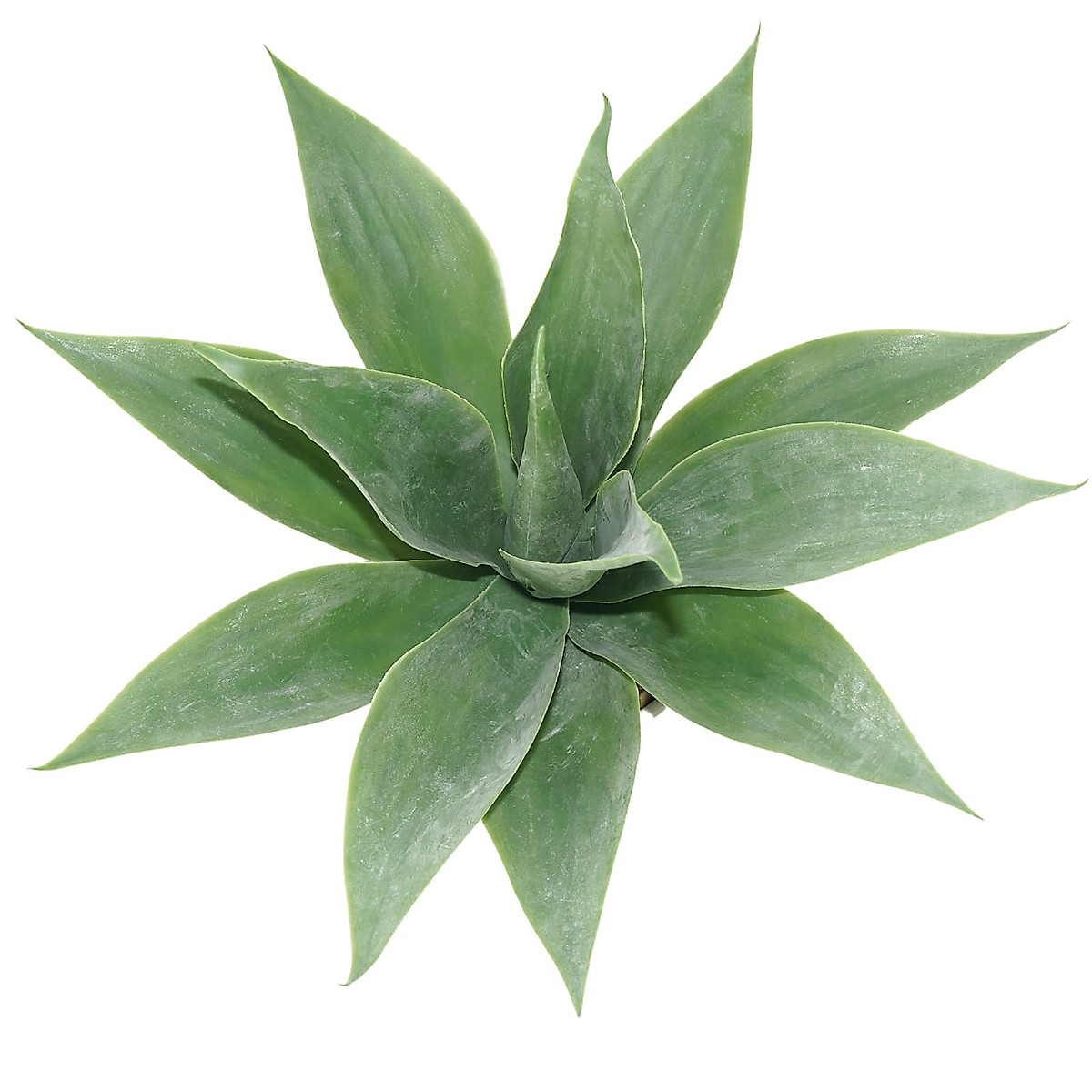 Hisow Artificial Potted Plants, 13.8" Artificial Succulent Fake Aloe, Large Faux Aloe Plant in Pot for Home Office Room Bathroom Garden Decor (White)