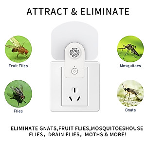 Flyxiregg Indoor Plug-in Fly Trap Refill Pack of Glue Cards for Insect Catcher, Indoor Fly Trap, Fruit Fly Traps for Indoors, Bug Killer, Mosquito Killer (Pack of 10)