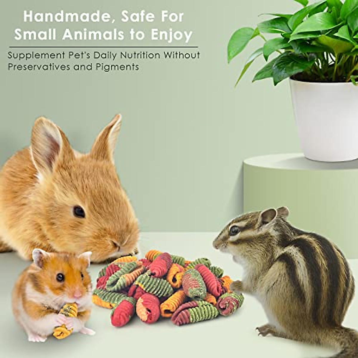 ERKOON Chinchilla Treats, Chew Toys for Teeth for Rabbit Guinea Pig Gerbil Rat Dwarf Hamster (Treats)