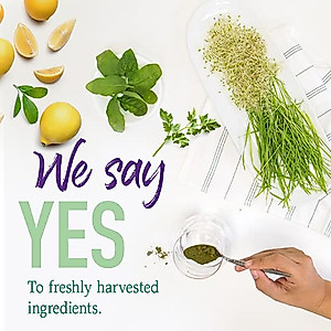 Garden of Life Raw Organic Perfect Food Alkalizer & Detoxifier Juiced Greens Superfood Powder - Lemon Ginger, 30 Servings - Non-GMO, Gluten Free Whole Food Dietary Supplement, Plus Probiotics