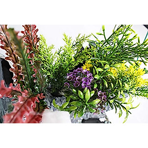 PENN-PLAX AquaTerrium Planting Tank – Hydroponic Aquarium with Integrated Filter System for Live Plants and Fish – 1.85 Gallons