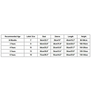 HZYBABY Baby Girls Long Sleeve Princess Skirt Dress for Toddler Swing Casual Hoodie Sweatshirt Dress Knee Length Blue, 3T