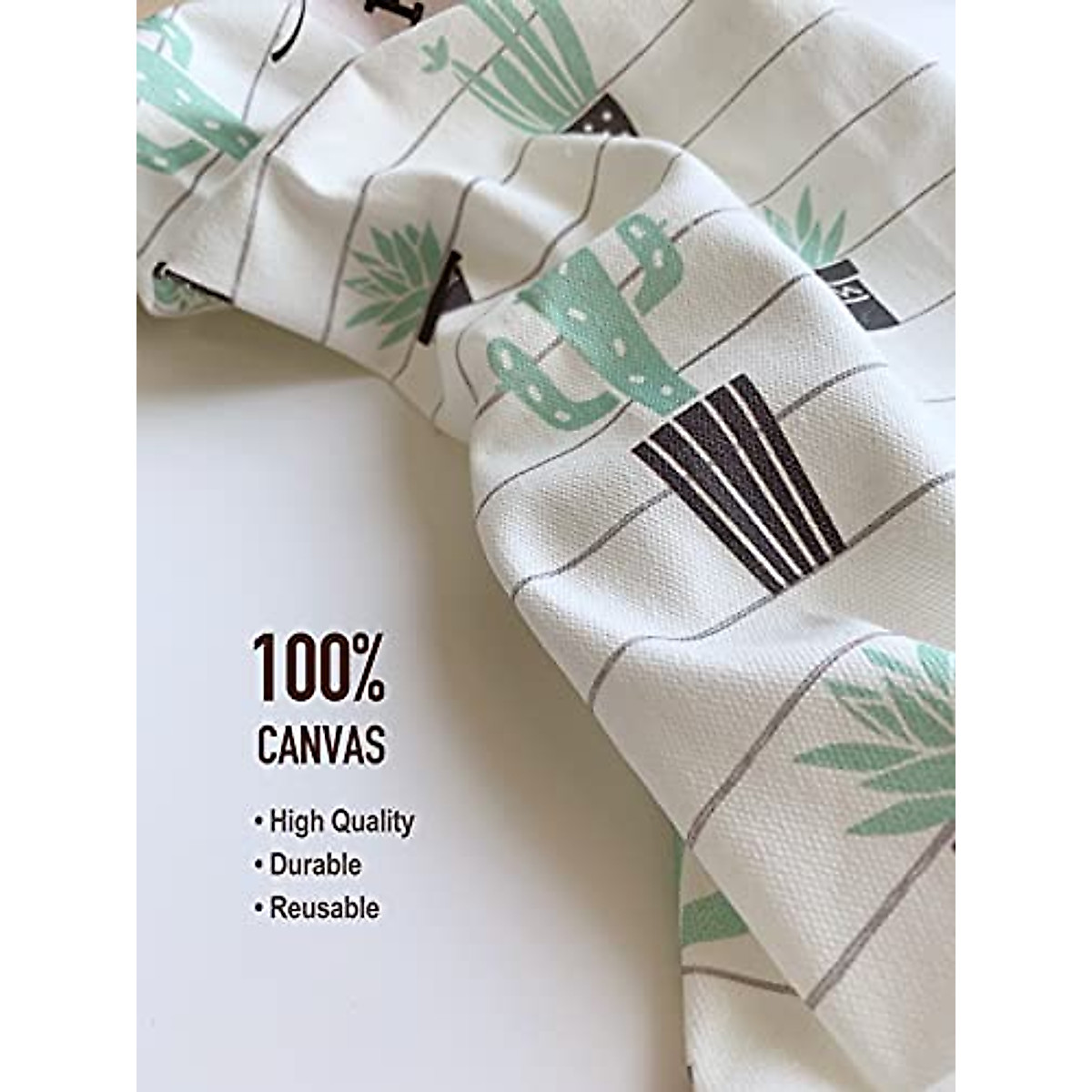 Hglian Cactus Plastic Grocery Bag Holder and Dispenser,Large Hanging Garbage Shopping Trash Bags Organizer Storage,Cute Cactus Kitchen Decor,Gifts for Women Mom Grandma