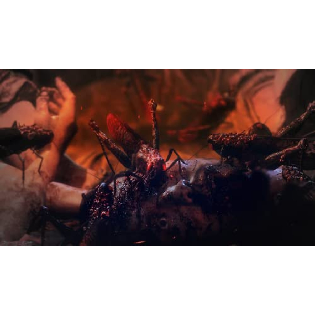 Wo Long: Fallen Dynasty - Xbox Series X