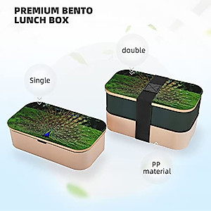KOOLR Peacocks Print Bento Box Adult Lunch Box With 2 Compartments Stackable For Work Picnic Leak Proof Bento Box