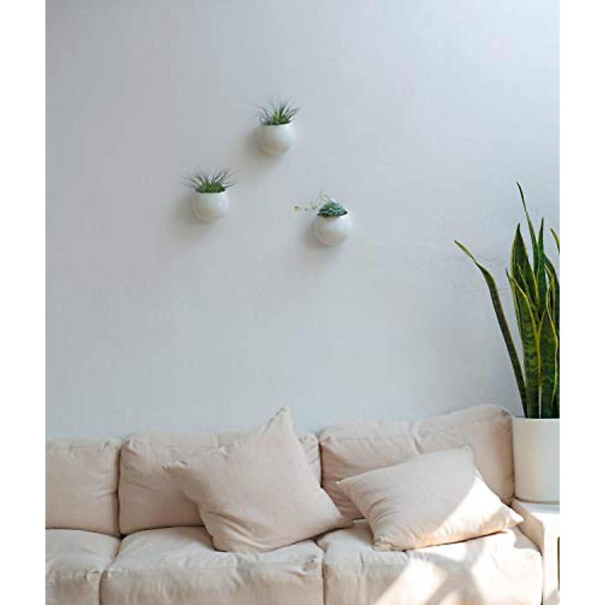 Mkono 4 Inch Wall Mounted Planter Round Ceramic Hanging Plant Holder Decorative Flower Display Vase Succulent Pots for Indoor Plants, Set of 3, White (Plants NOT Included)