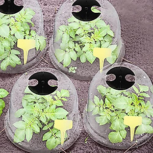 Remerry 20 Pack Garden Cloche Clear Bell Covers Freeze Protection Humidity Domes Plastic Dome 7.3 x 6.7 Inch with 60 Ground Securing Pegs and Plant Labels for Plants Seed Starting Greenhouse