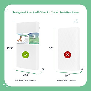 Evolur Sleep Comfort Lite Plus with Natural Eucalyptus Fiber Crib and Toddler Mattress, Greenguard Gold Certified