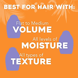 OGX Thick & Full + Biotin Collagen Extra Strength Volumizing Shampoo with Vitamin B7 Hydrolyzed Wheat Protein for Fine Hair. Sulfate-Free Surfactants Thicker, Fuller Hair, 13 Fl Oz