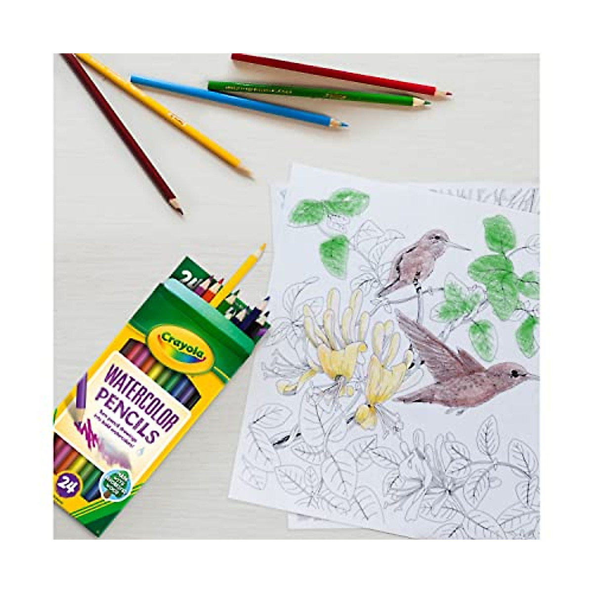 Crayola 24ct Watercolor Colored Pencils, Watercolor Paint Alternative, Craft Supplies