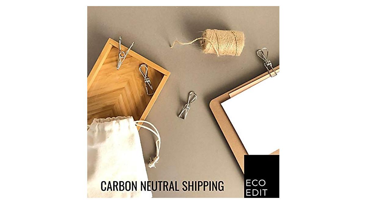 Eco Edit Eco-Clips: Durable Stainless Steel Pegs (40 Pack)