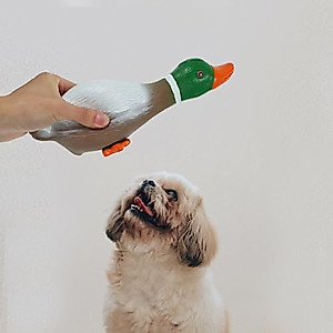 Ipetboom Dog Molar Plaything Squeaky Teething Toy Shaped Chewing Toy Funny Toy