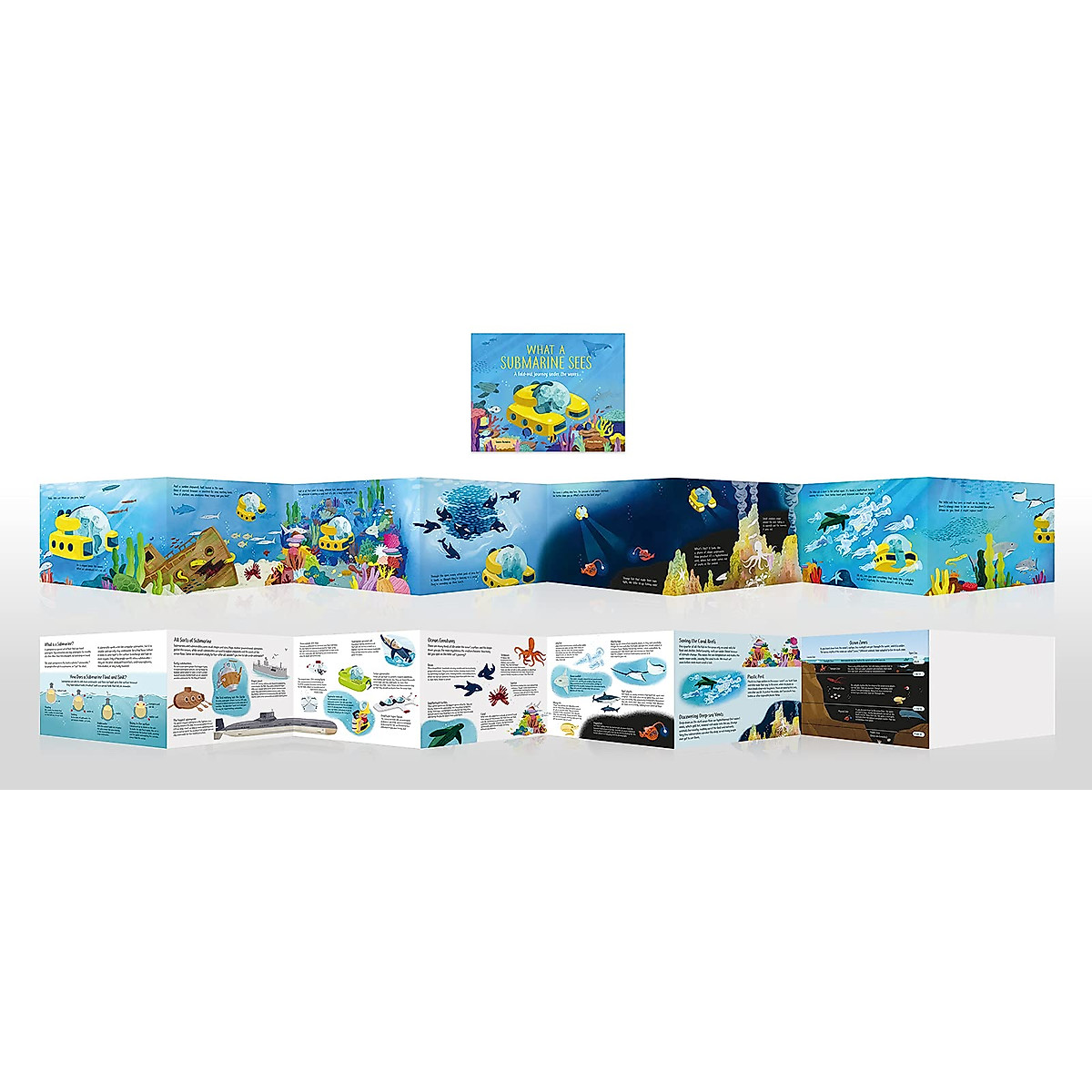 What a Submarine Sees: A fold-out journey under the waves