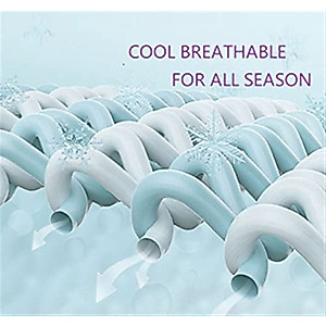 TRYLTBE 100% Brushed Microfiber Pillowcases Set of 2, Comfort Pillow Cases Standard Size, Fade, Stain Resistant with Envelope Closure Bed Pillow Cases (Color : C)