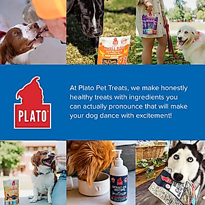 PLATO Mini Thinkers Salmon Recipe 3oz, Natural (850002221312)