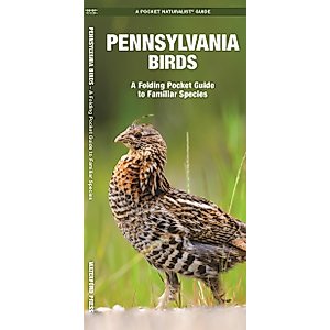Pennsylvania Birds: A Folding Pocket Guide to Familiar Species (Nature Observation North America)