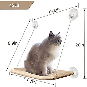 PETPAWJOY Cat Window Perch, Strong Suction Cups Easy Clean Safety Cat Hammock Window Seat for Large Fat Cat or Double Cats (Up to 50lbs)