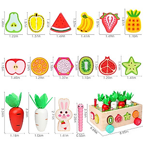 INSOON Montessori Toys for 1 2 3 4 Year Old Boy Girl,Wooden Educational Toy Multifunctional Orchard Car Toys Catching Worm Shape Sorting Carrot Harvest Learning Toys Gifts for Toddlers