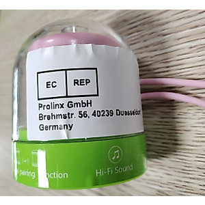 EWA A119 Mini Bluetooth Speaker with Lanyard, Small Speaker with Bass Radiator, IPX7 Waterproof, Tiny but Powerful, Cute Metal Wireless Portable Speaker (Rose-Gold)