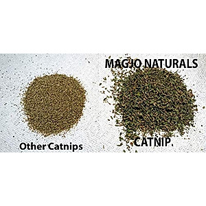 MagJo Naturals Farm Direct Catnip, Freshest Available, Bulk Bag (1 Pound)