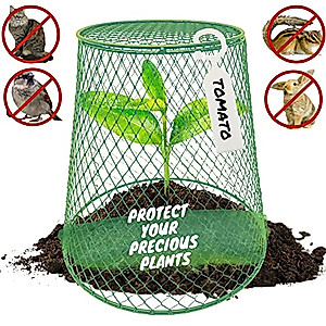 RE GOODS Chicken Wire Plant Cover – 6 Garden Cloche Baskets, Cage Protectors from Animals and Rabbits, Includes 18 Garden Stakes and 10 Waterproof Labels (Green)